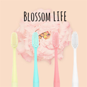 FDA approved Nano Silver Toothbrush - Sangsi